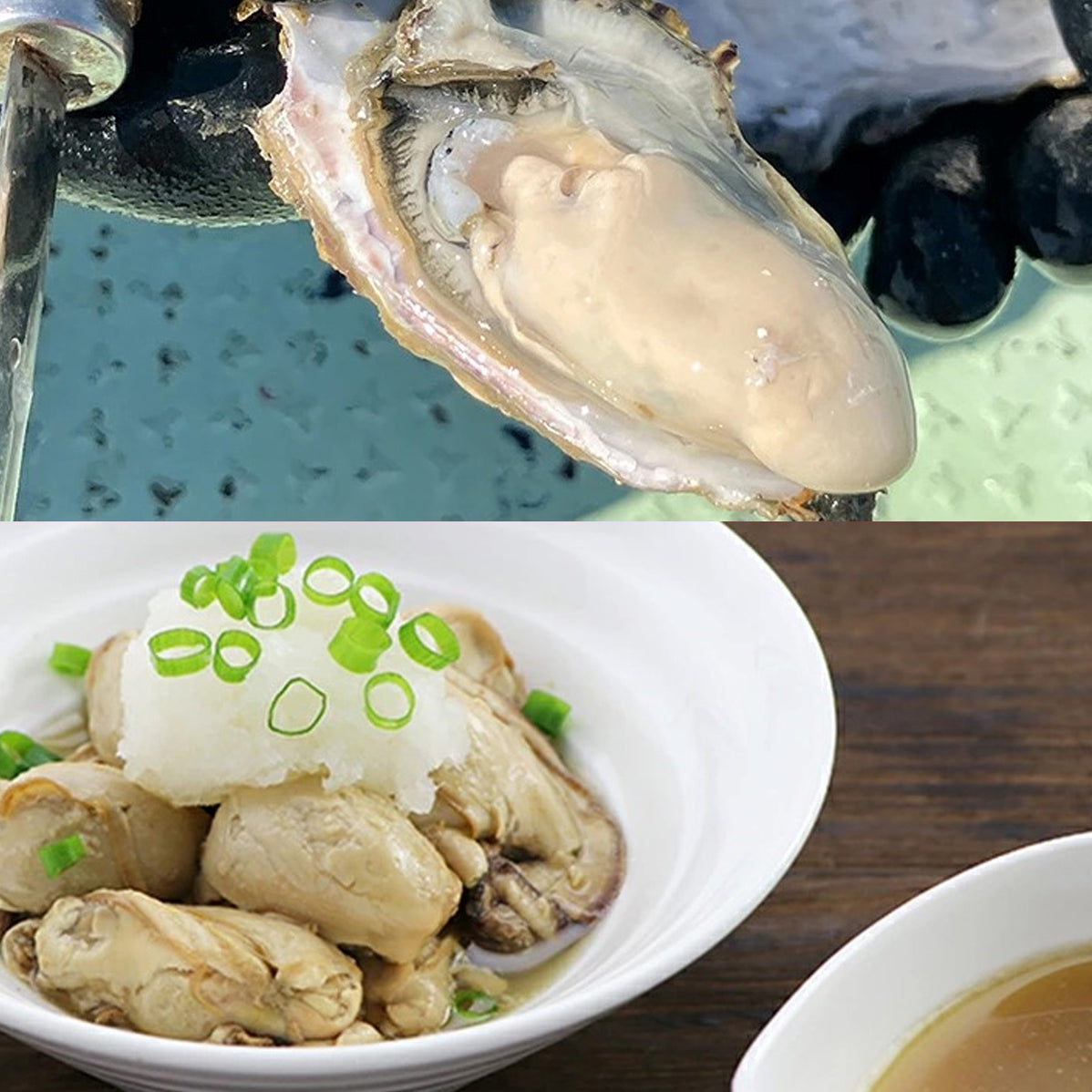 Japanese canned fish online market